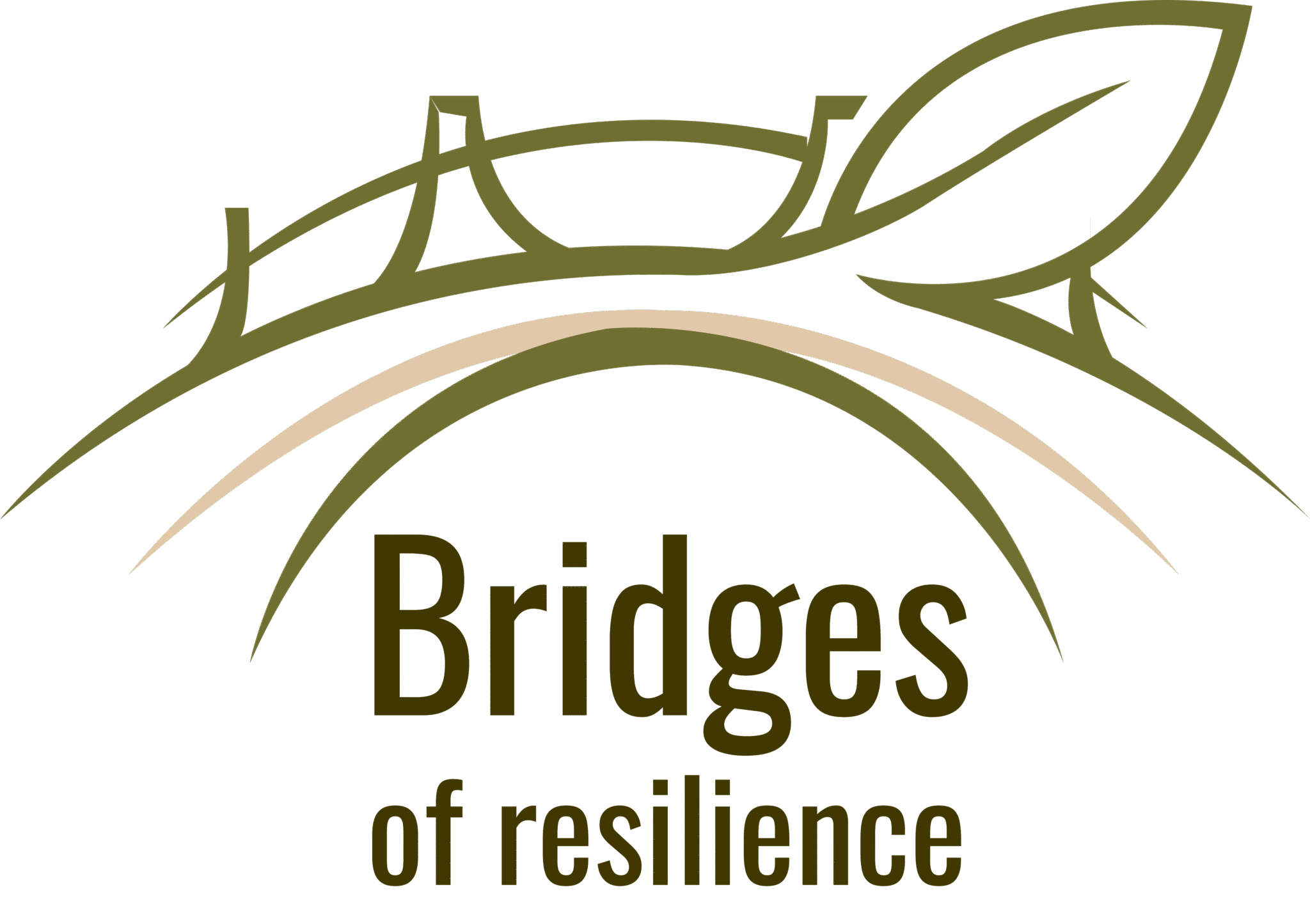 Contact Us – Bridges of Resilience